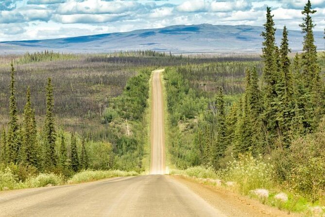 8-12 Hour Private Arctic Circle Experience in Alaska with Lunch - Key Points