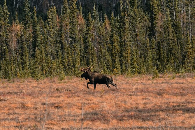 8-12 Hour Private Arctic Circle Experience in Alaska with Lunch - An In-Depth Look at the Tour Itinerary
