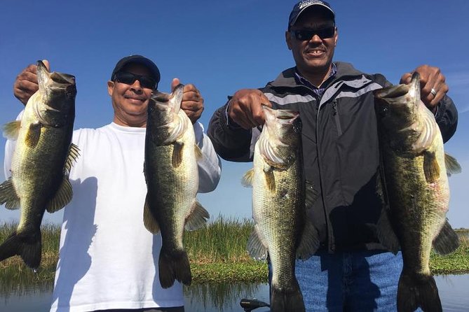 8-hour Butler Chain of Lakes Fishing Trip Near Orlando - A Closer Look at the Itinerary and Experience