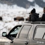 8 Hour Combination Snowshoe & Wildlife Viewing in Grand Teton National Park - The Value of This Tour