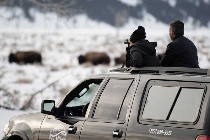 8 Hour Combination Snowshoe & Wildlife Viewing in Grand Teton National Park - The Value of This Tour