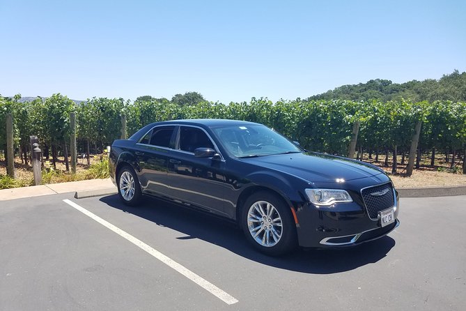 8 Hour Custom Wine Country Tour - Who Will Love This Tour?
