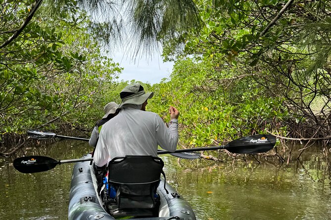8-Hour Jungle Tour and Lagoon Passage to the Ocean in Fort Pierce - A Deep Dive into the Experience