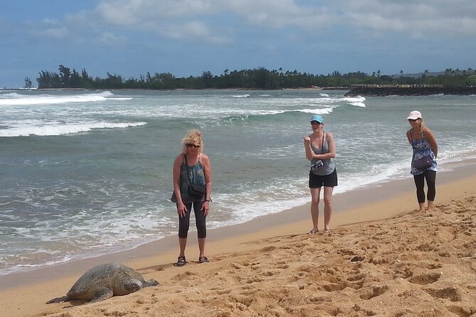 8-Hour Luxury Four Door Convertible Tour of Oahu's South and North Shores - Who Should Choose This Tour?