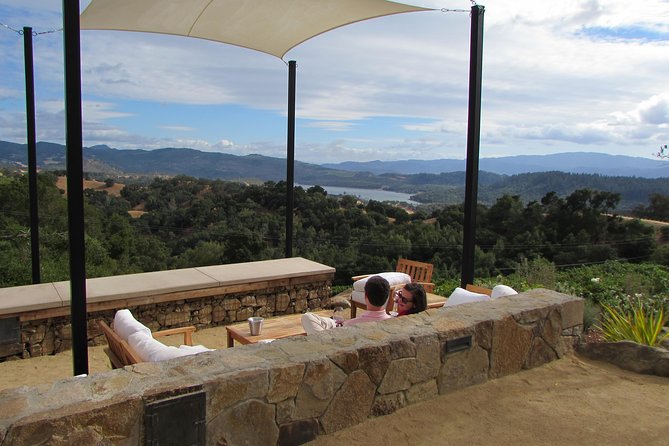 8 Hour Private Customized Wine Tour up to 7 Guests Napa & Sonoma - Transportation & Group Size: Why It Matters