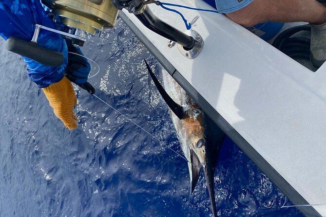 8 Hour Private Fishing Charter in Kailua-Kona, Hawaii - The Sum Up