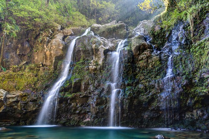 8 Hour Private Jungle Waterfall Tour from Maui - Key Points