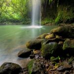 8 Hour Private Jungle Waterfall Tour from Maui - A Deep Dive into the Maui Jungle Waterfall Adventure