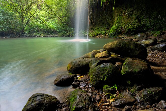 8 Hour Private Jungle Waterfall Tour from Maui - A Deep Dive into the Maui Jungle Waterfall Adventure
