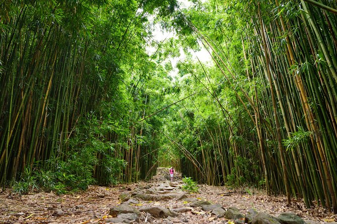 8 Hour Private Jungle Waterfall Tour from Maui - Practical Considerations