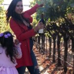 8 Hours 12 Passengers limo bus for Napa or Sonoma wine tour - FAQs