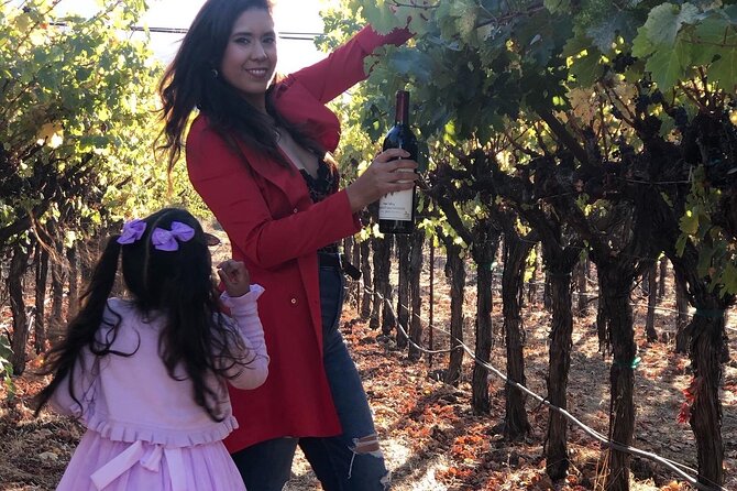 8 Hours 12 Passengers limo bus for Napa or Sonoma wine tour - FAQs