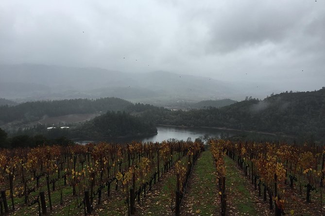 8-Hours Private SUV (up to 6 Passengers) San Francisco to Napa Valley Wine Tour - Practical Details