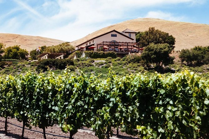 8-hr Beer & Wine Tour of Sonoma/Napa from San Francisco in XL SUV - Final Thoughts