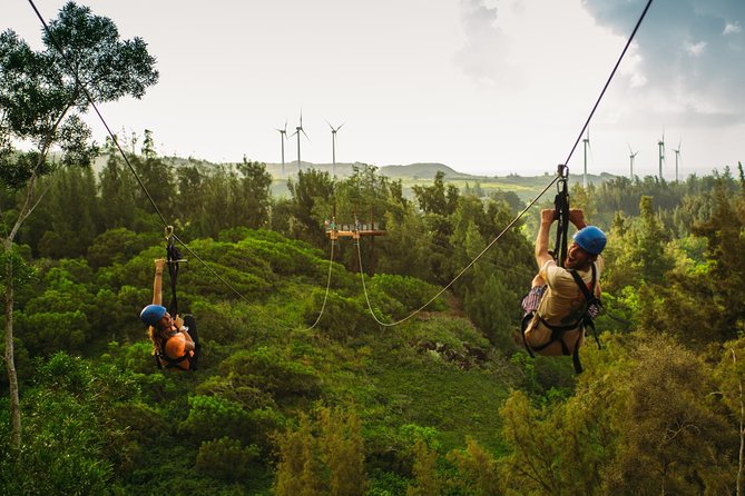 8-Line Zipline Adventure on Oahu's North Shore - The Guides and Their Role in Your Experience