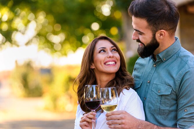 8hr Private Sonoma and Napa Wine Tour from San Francisco.XL SUV - What to Expect on the Day