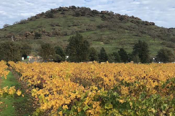 8hr Private Sonoma and Napa Wine Tour from San Francisco.XL SUV - Additional Inclusions and Considerations