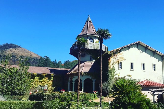 8hr Private Sonoma and Napa Wine Tour from San Francisco.XL SUV - Who Is This Tour Best For?