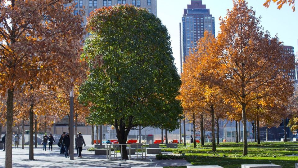 9/11 Memorial & Ground Zero Tour with Optional Museum Ticket - FAQ