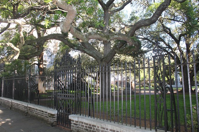90-Minute Charleston City Sightseeing Bus Tour - The Sum Up