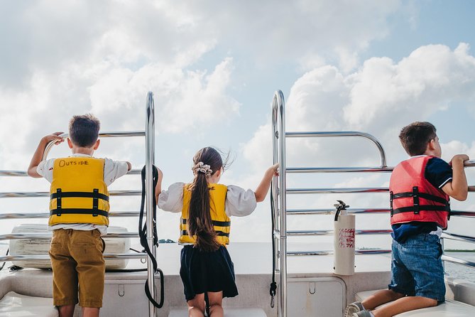 90-Minute Dolphin and Nature Tour of Hilton Head - Who Will Love This Tour?