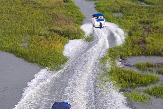 90-Minute Dolphin and Nature Tour of Hilton Head - FAQs