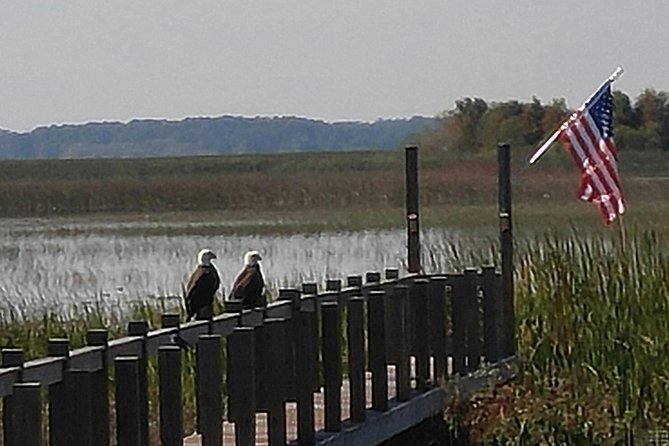90 minute Everglades Airboat Tour near Orlando Florida - What You’ll Do on the Tour
