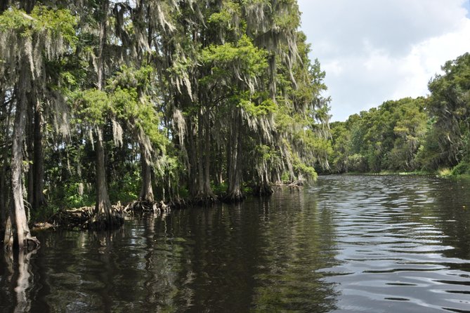 90 minute Everglades Airboat Tour near Orlando Florida - Weather and Wildlife Activity