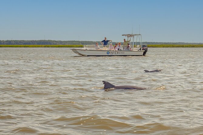 90 Minute Hilton Head Dolphin and Nature Cruise - The Itinerary Breakdown