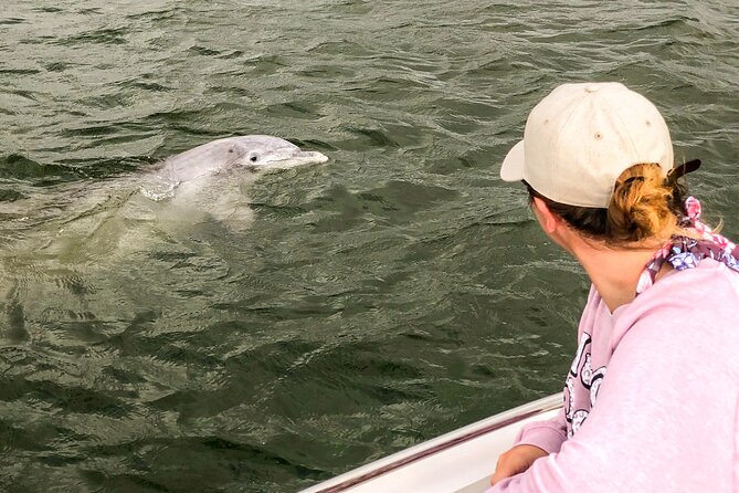 90 Minute Hilton Head Dolphin and Nature Cruise - What Travelers Say