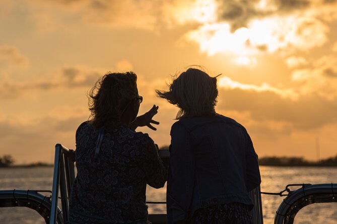 90 minute Hilton Head Sunset Dolphin Cruise - An In-Depth Look at the Hilton Head Sunset Dolphin Cruise