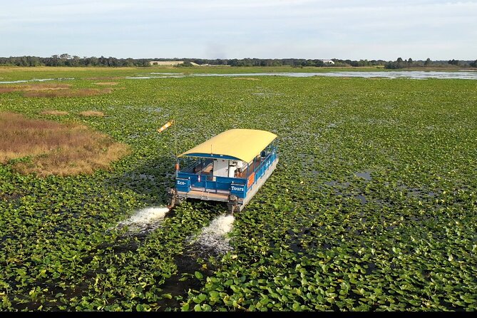 90 Minute Pontoon Cruise in Florida - Key Points