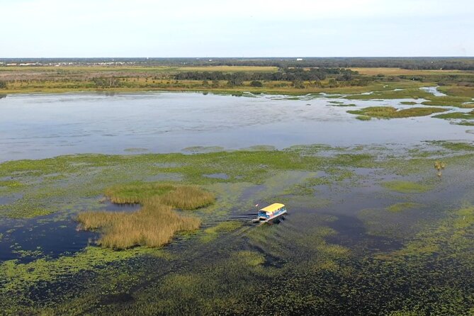 90 Minute Pontoon Cruise in Florida - A Closer Look at the Experience
