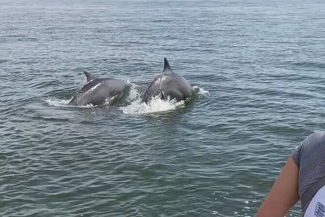 90-Minute Private Dolphin Tour in Hilton Head Island - FAQs
