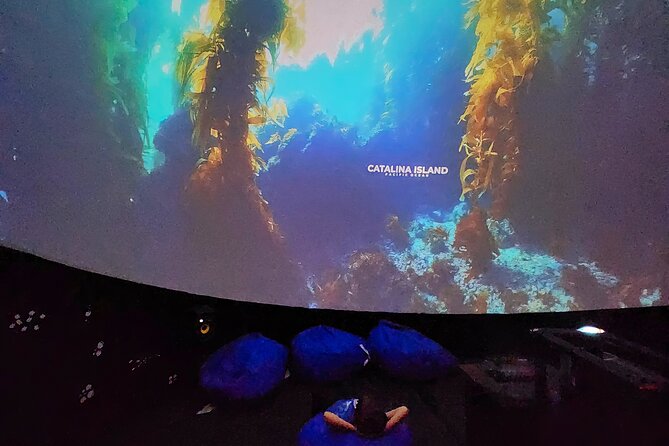 A 360° Immersive Ocean Movie Experience (Catalina Island) - Authentic Guest Experiences & Insights