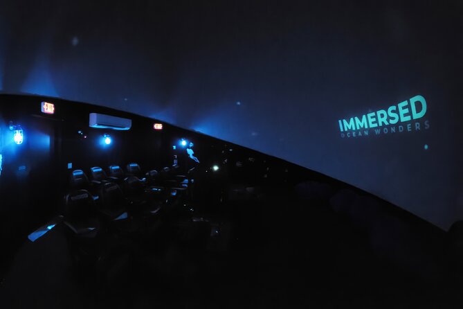 A 360° Immersive Ocean Movie Experience (Catalina Island) - Who Will Love This?