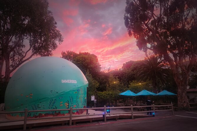A 360° Immersive Ocean Movie Experience (Catalina Island) - FAQs