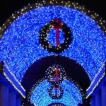 A Bostonian Christmas Tour - Who Will Love This Tour?