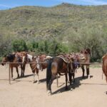 A Day In The Old West Adventure including Horseback Ride and Cowboy Lunch - Who Should Consider This Tour?