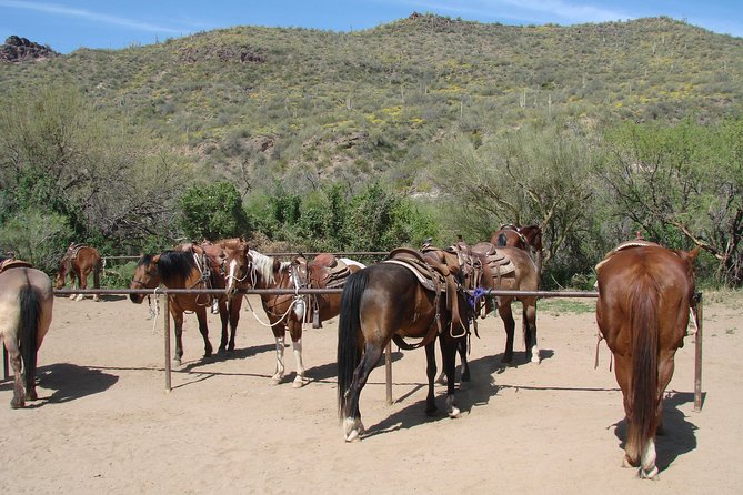 A Day In The Old West Adventure including Horseback Ride and Cowboy Lunch - Who Should Consider This Tour?