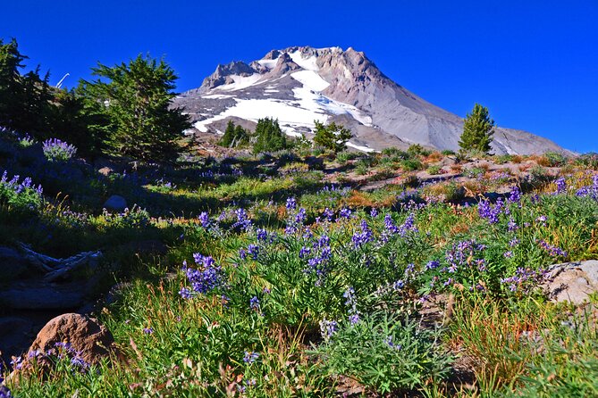 A Full Day Around Portland: City Tour + Visit the Waterfalls - Who This Tour Is Perfect For
