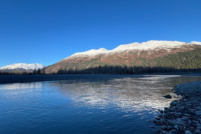 A Guided Alaskan Escape: Wildlife Sanctuary and Glacier Hiking - An In-Depth Look at the Tour Experience