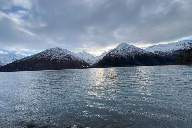 A Guided Alaskan Escape: Wildlife Sanctuary and Glacier Hiking - The Sum Up