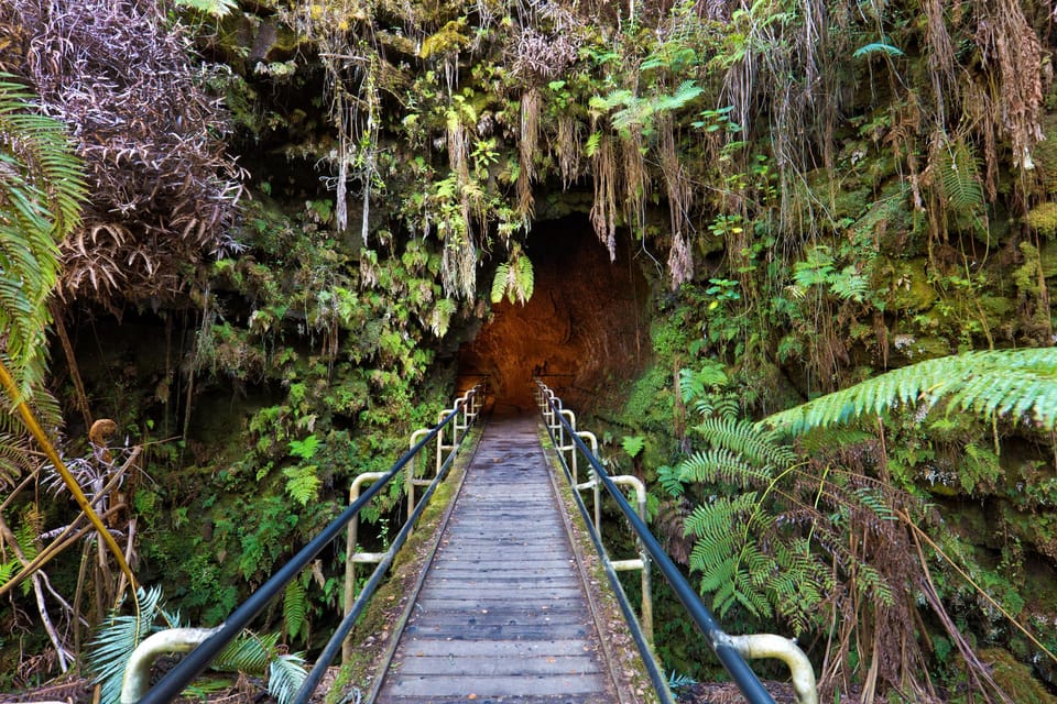 A Guided Hike Adventure: Kilauea Iki Crater and a Lava Tube - Authentic Feedback from Past Participants