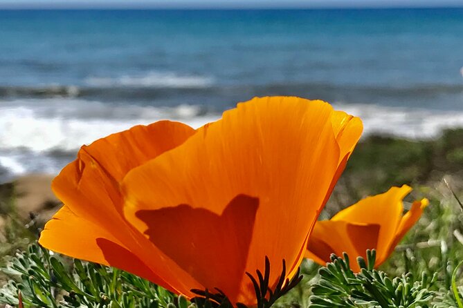 A La La Tour - Private Tour of California's Central Coast - What You Can Expect from A La La Tour
