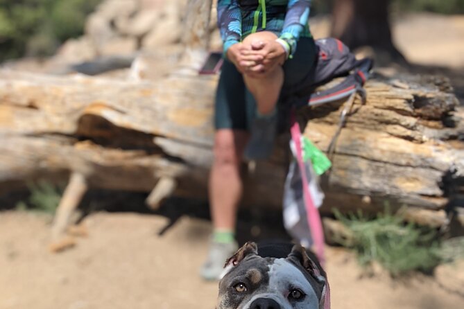 A Local's Favorite Hike in Big Bear with Lake Swimming Experience - Exploring Big Bear on Foot and Water