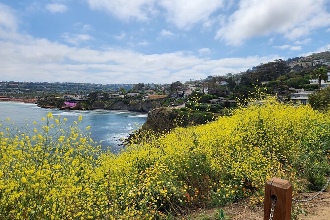 A Seaside Stroll: La Jolla's Hidden Treasures Self-Guided Tour - FAQ