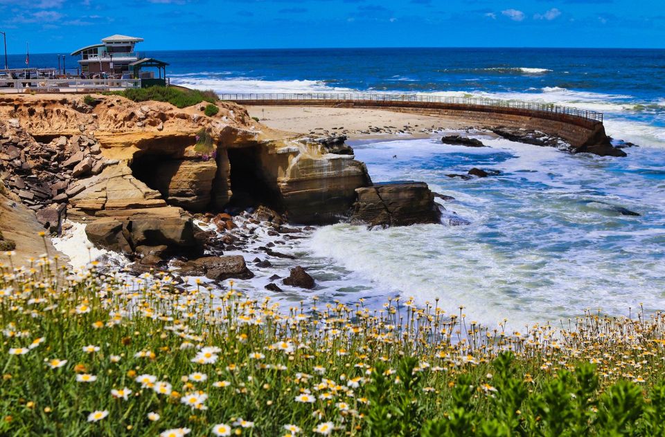 A Seaside Stroll: La Jolla's Hidden Treasures Walking Tour - Final Thoughts: Is It Worth It?