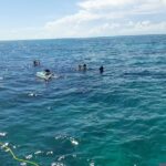 A Unique Private Snorkel Tour of Key Largo - Final Thoughts: Is It Worth It?