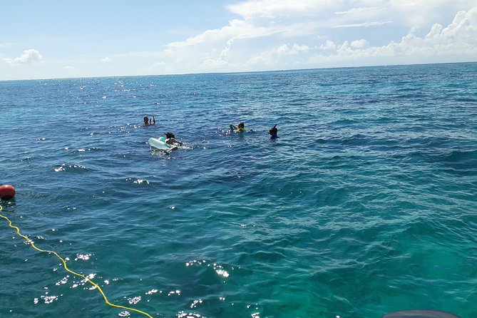 A Unique Private Snorkel Tour of Key Largo - Final Thoughts: Is It Worth It?
